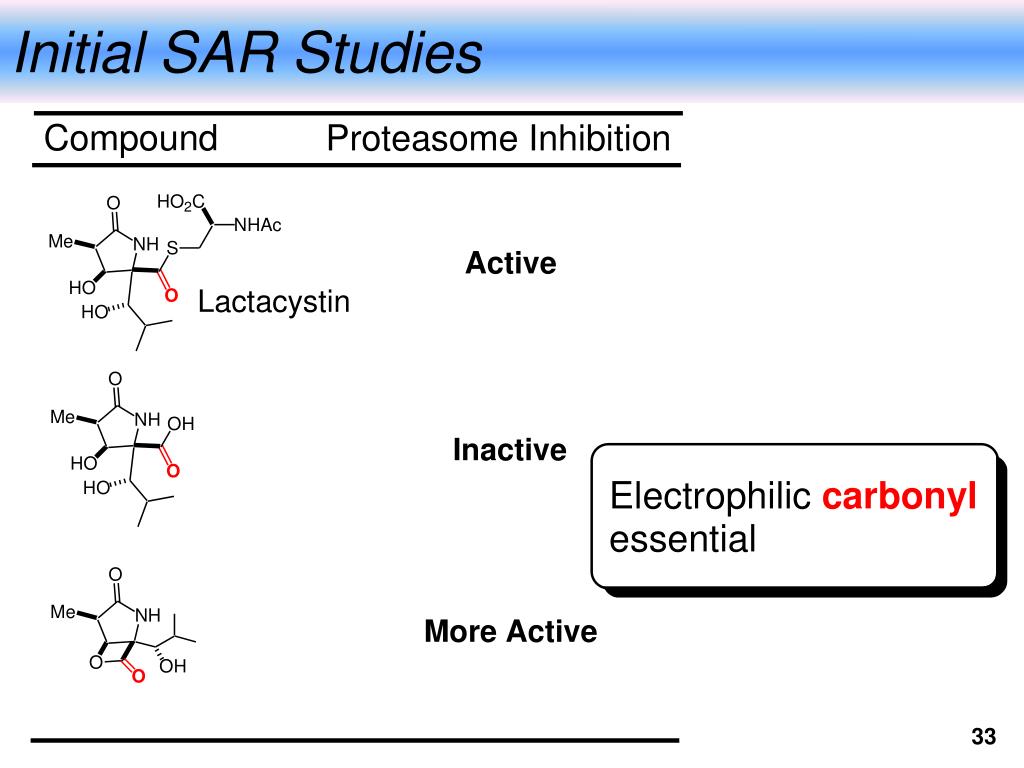 PPT - Lactacystin: An Inhibitor in the Ubiquitin Proteasome Pathway ...