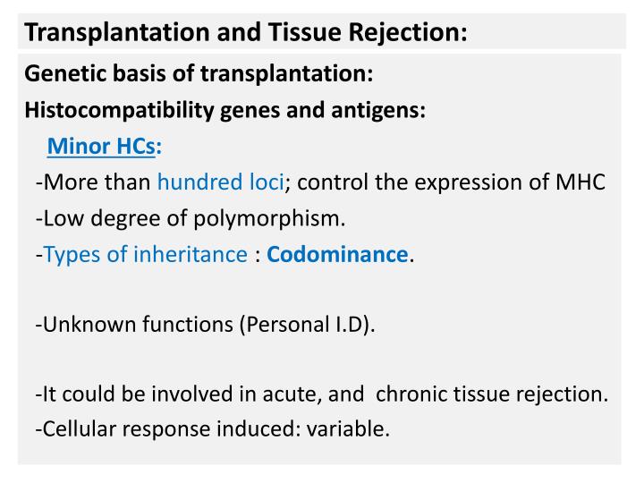PPT - Autoimmunity: PowerPoint Presentation - ID:2938924