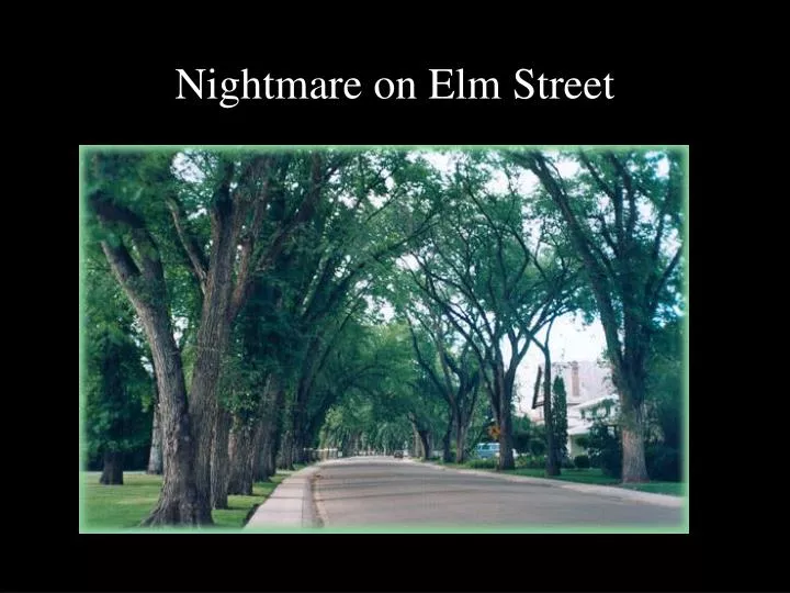 PPT - Nightmare on Elm Street PowerPoint Presentation, free download ...