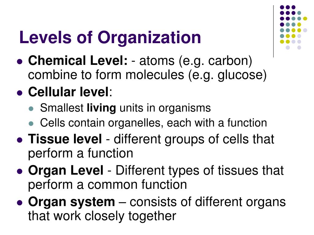 PPT - Biology 241: Human Anatomy and Physiology 1 PowerPoint ...
