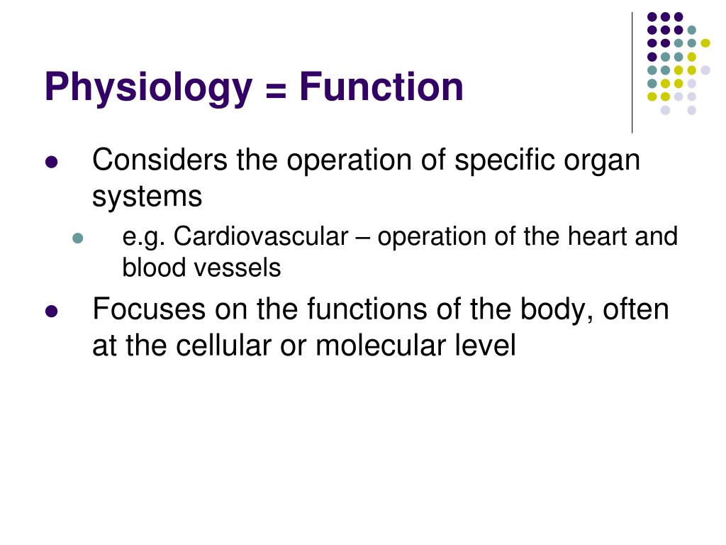 PPT - Biology 241: Human Anatomy and Physiology 1 PowerPoint ...
