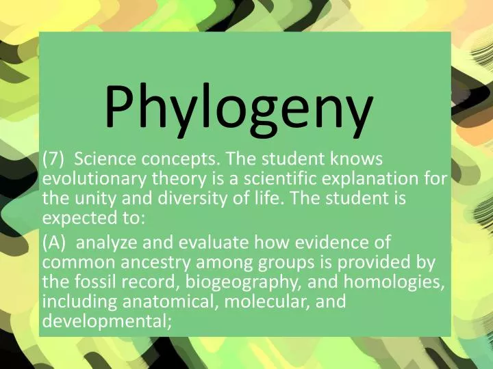 PPT - Phylogeny PowerPoint Presentation, free download - ID:2939081