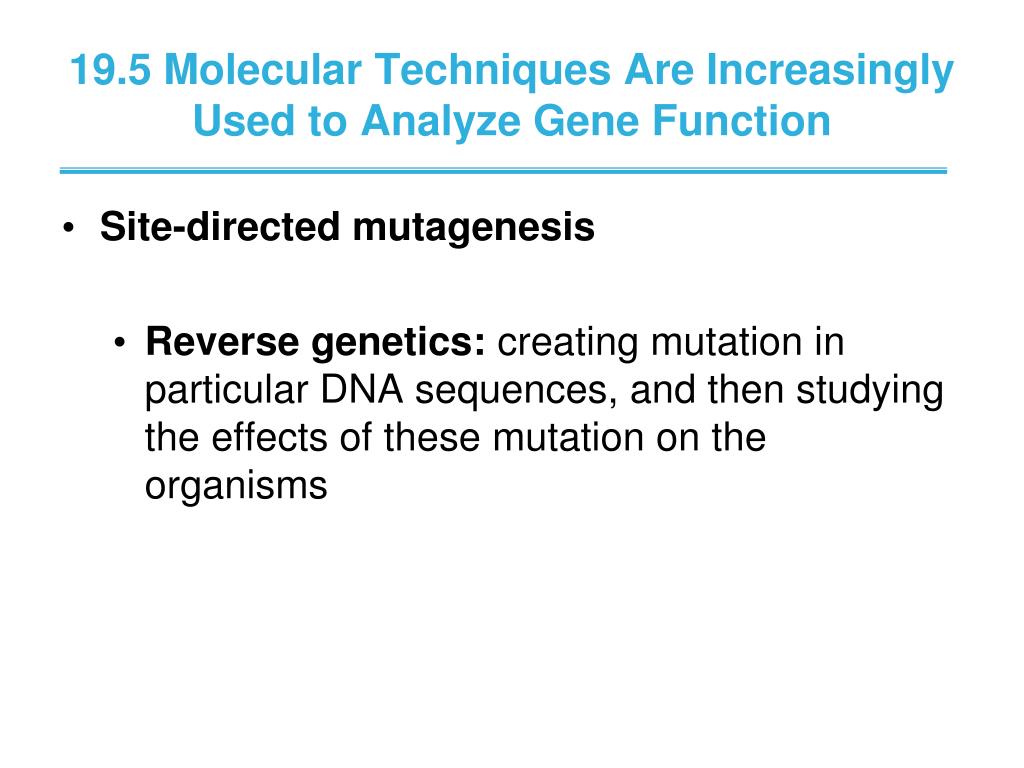 PPT - 19.1 Techniques of Molecular Genetics Have Revolutionized Biology ...
