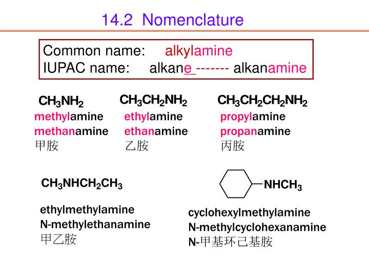 PPT - Chapter 14. Amines ( 胺） PowerPoint Presentation - ID:2939964
