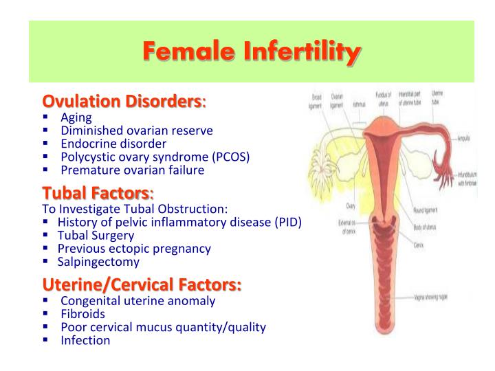 PPT - Biochemical Investigations of Infertility PowerPoint Presentation ...