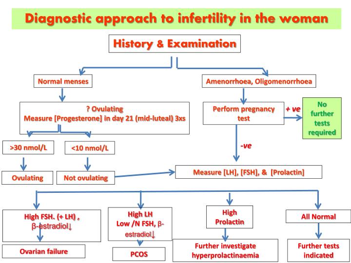 PPT - Biochemical Investigations of Infertility PowerPoint Presentation ...