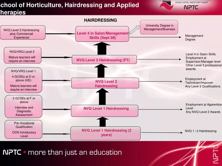 PPT - NVQ Level 1 Hairdressing (2 years) PowerPoint Presentation, free ...