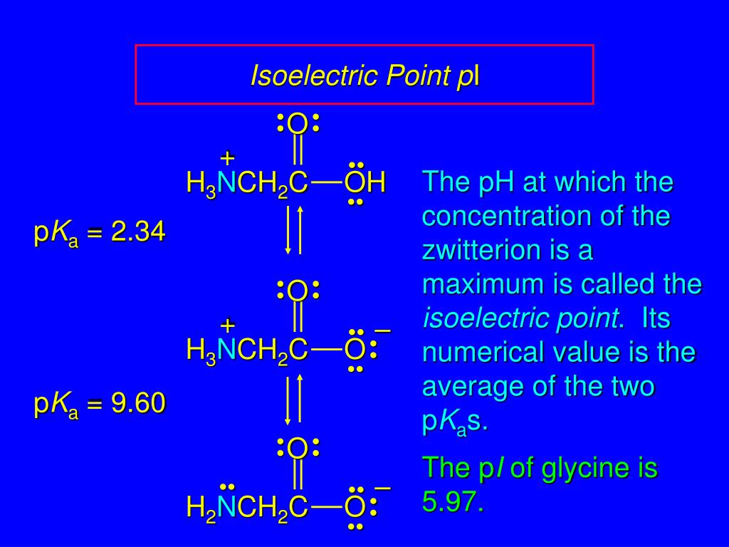 PPT - Biochemistry Macromolecules, Proteins, Amino Acids PowerPoint ...