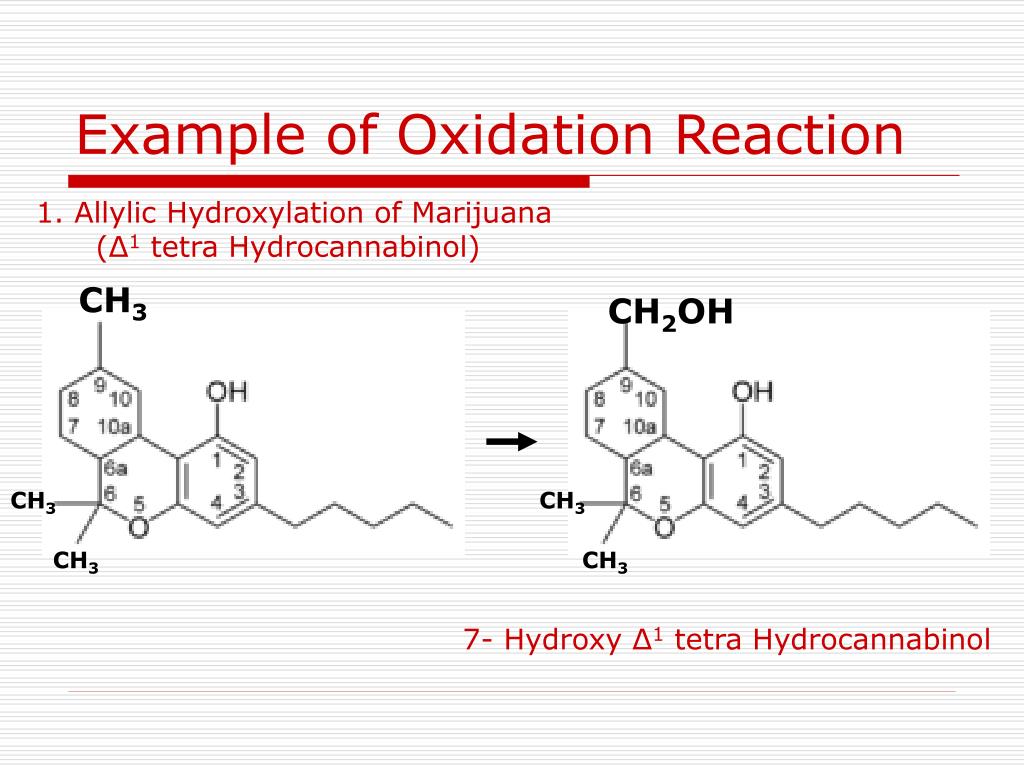 PPT - METABOLIC CHANGES OF DRUGS AND RELATED ORGANIC COMPOUNDS ...