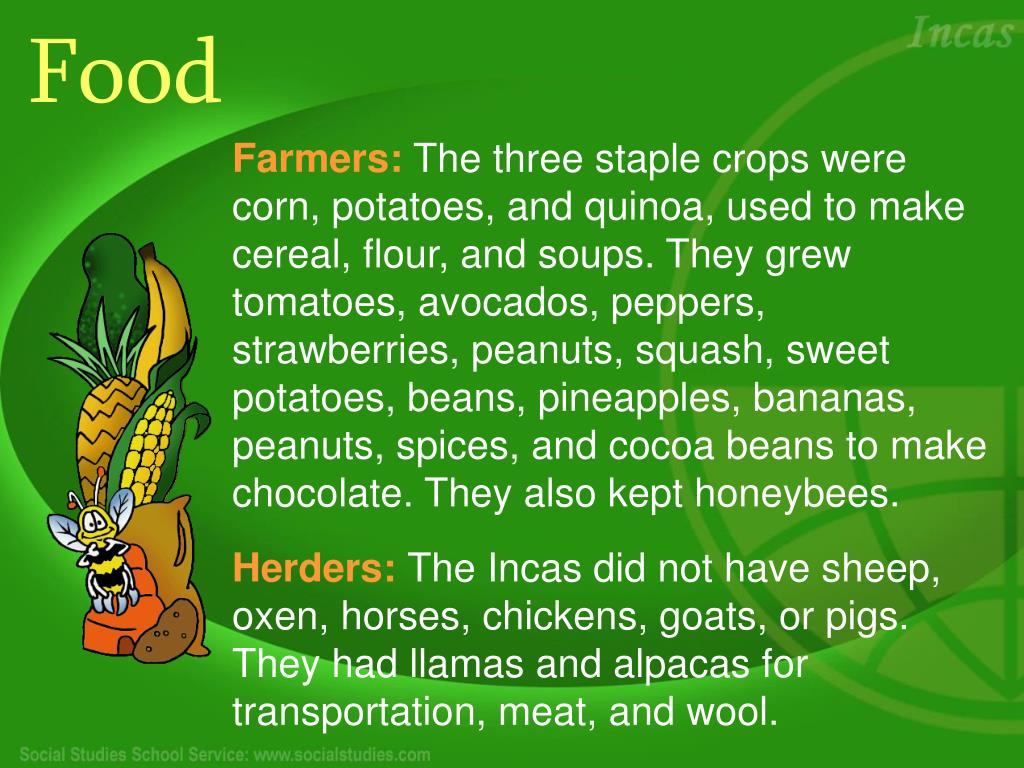 PPT - The Incredible Incas: Children of the Sun PowerPoint Presentation ...