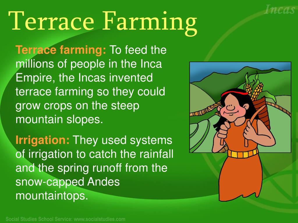 PPT - The Incredible Incas: Children of the Sun PowerPoint Presentation ...