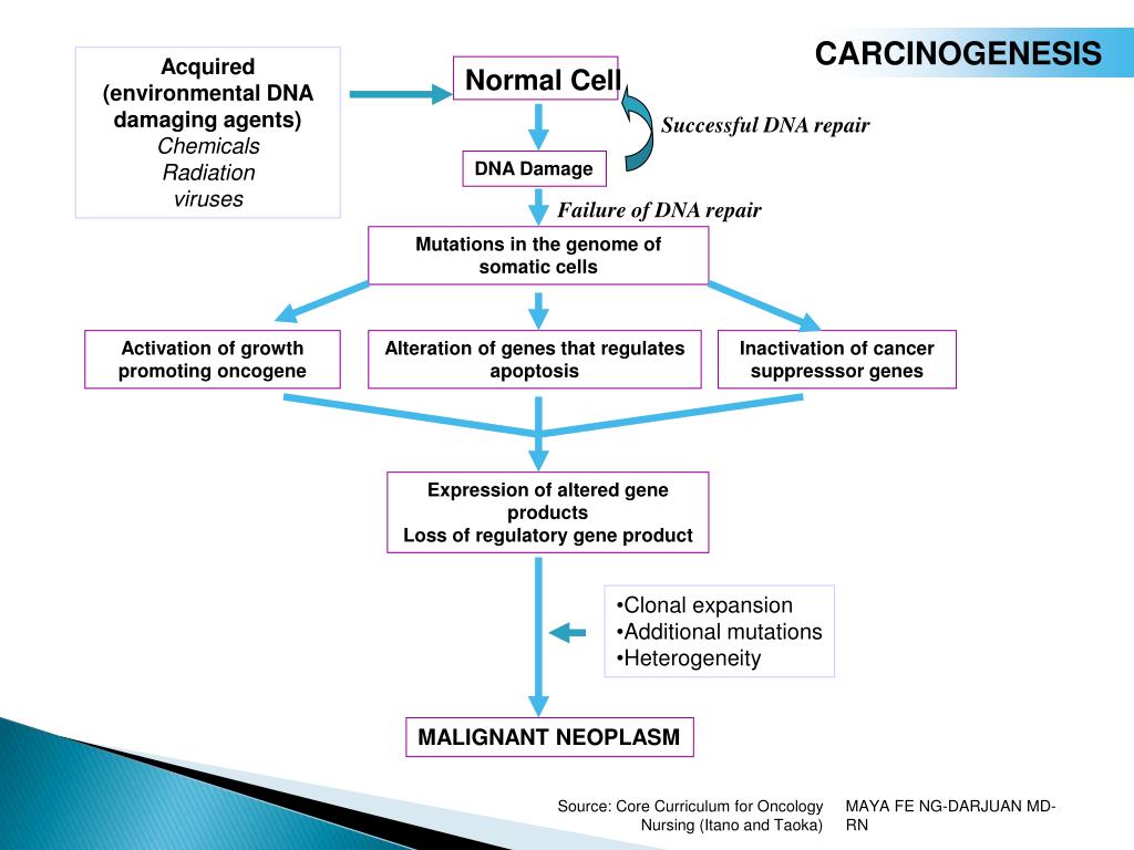 PPT - CANCER and Anti Cancer Agents PowerPoint Presentation, free ...