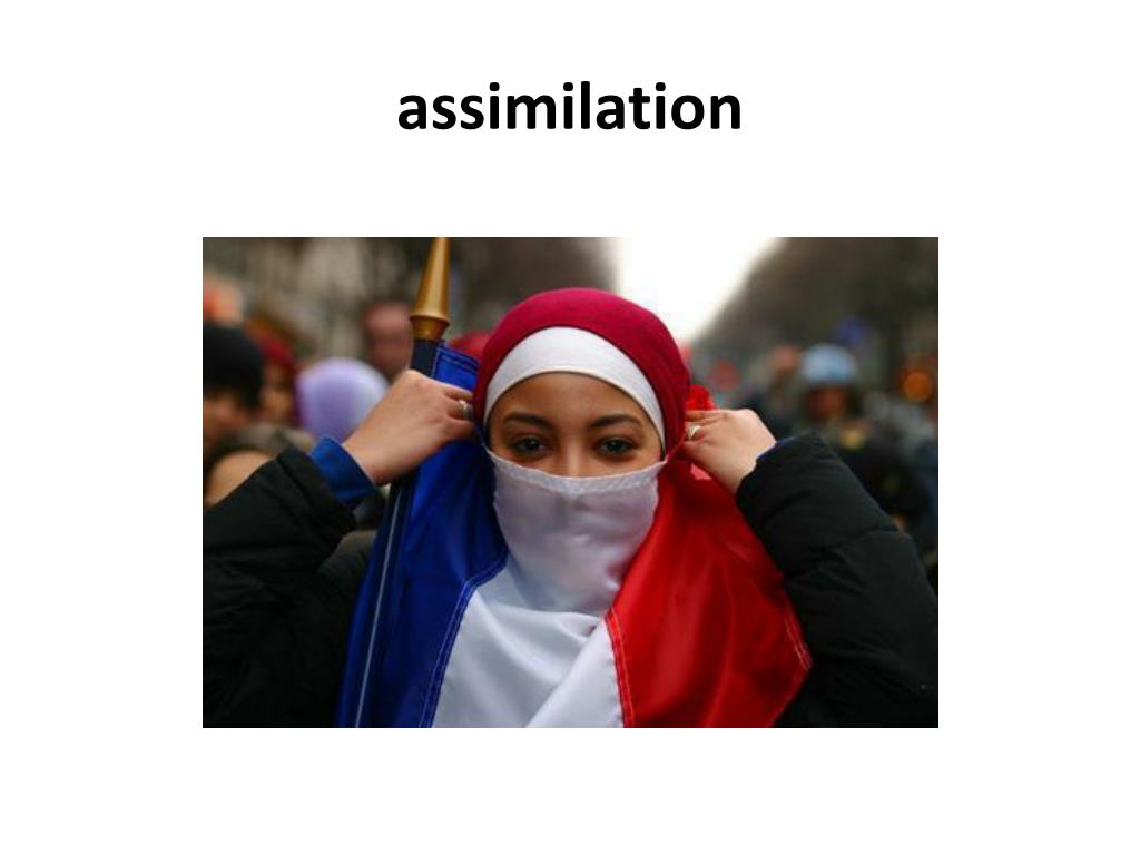 PPT - French Colonialism in Africa PowerPoint Presentation, free ...