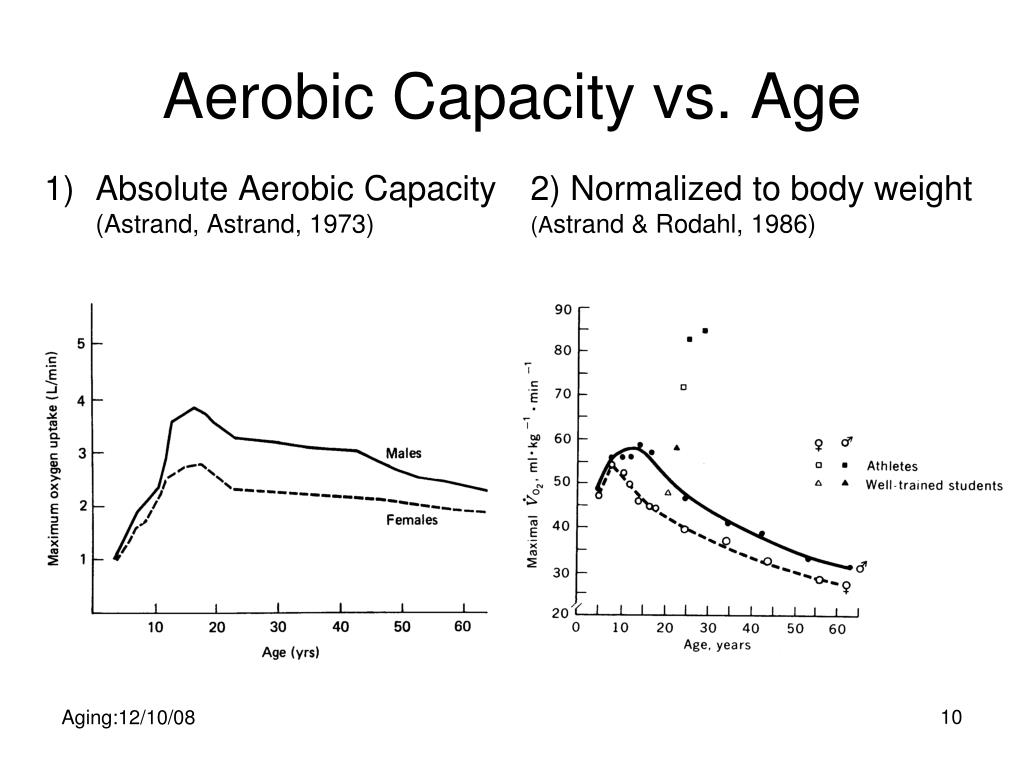 PPT - MWA presents Ergonomics and the Aging Workforce Dr. Andris ...