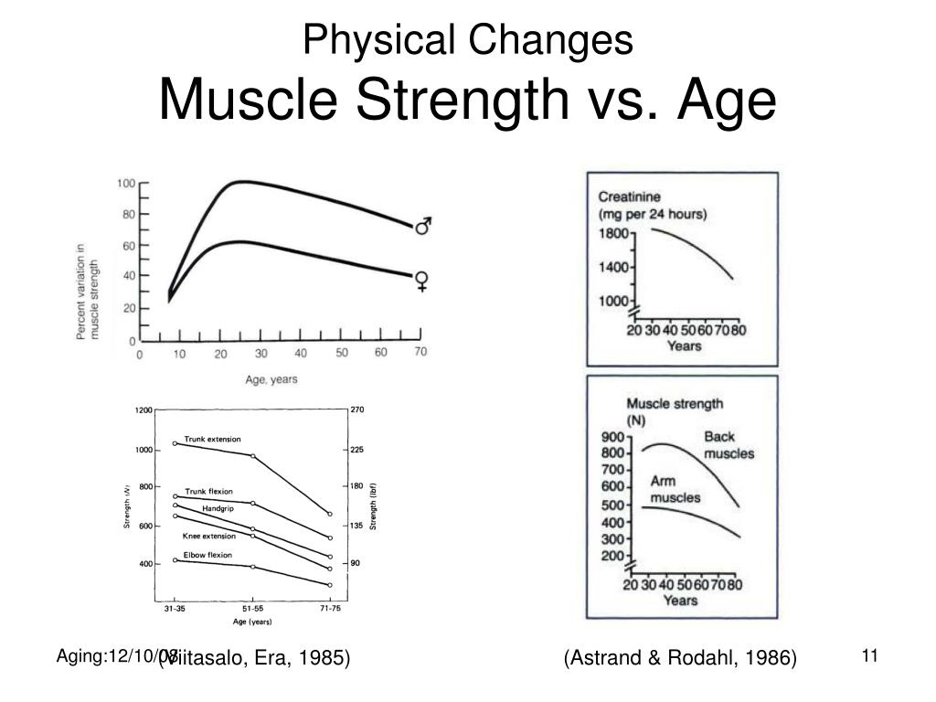 PPT - MWA presents Ergonomics and the Aging Workforce Dr. Andris ...