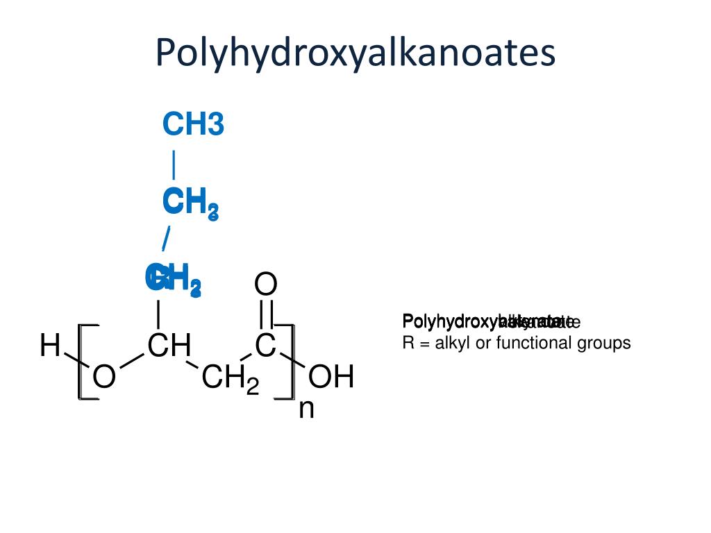 PPT - Production of a Biodegradable Plastic in the C4 Biomass Crop ...