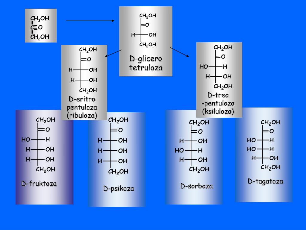 PPT - 6 CO 2 + 6 H 2 O C 6 H 12 O 6 + 6 O 2 PowerPoint Presentation ...