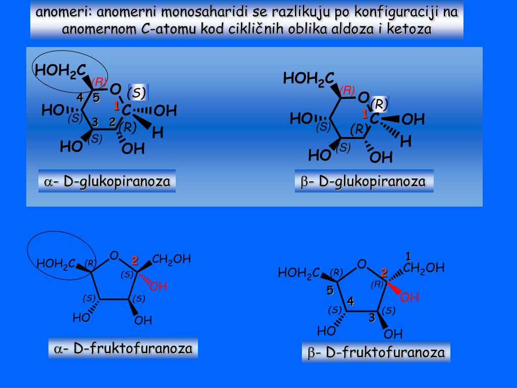 PPT - 6 CO 2 + 6 H 2 O C 6 H 12 O 6 + 6 O 2 PowerPoint Presentation ...