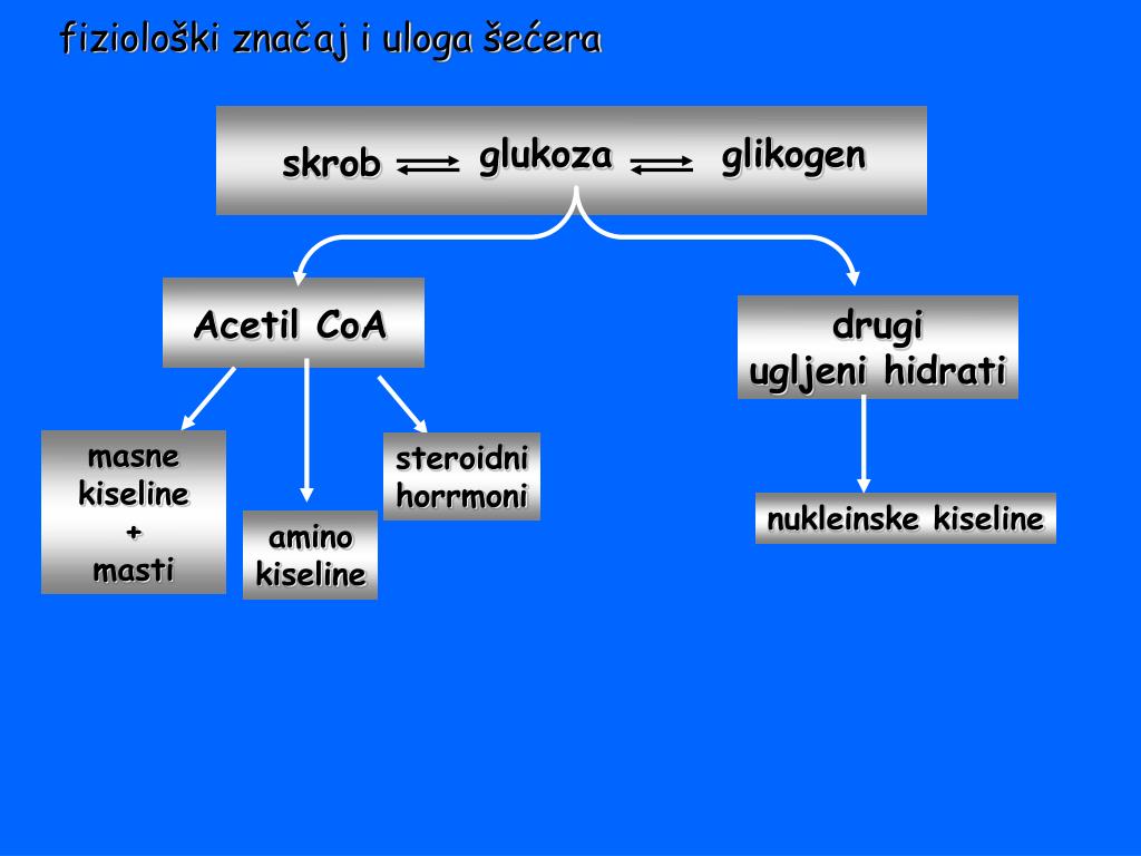 PPT - 6 CO 2 + 6 H 2 O C 6 H 12 O 6 + 6 O 2 PowerPoint Presentation ...