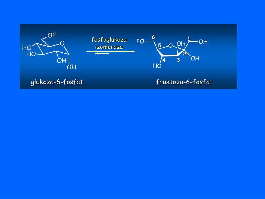 PPT - 6 CO 2 + 6 H 2 O C 6 H 12 O 6 + 6 O 2 PowerPoint Presentation ...