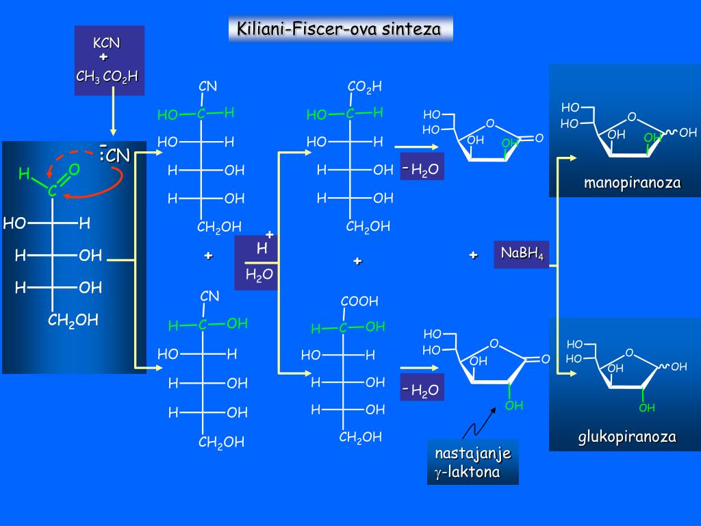 PPT - 6 CO 2 + 6 H 2 O C 6 H 12 O 6 + 6 O 2 PowerPoint Presentation ...