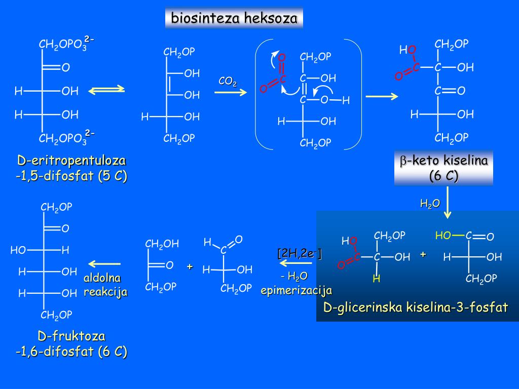 PPT - 6 CO 2 + 6 H 2 O C 6 H 12 O 6 + 6 O 2 PowerPoint Presentation ...