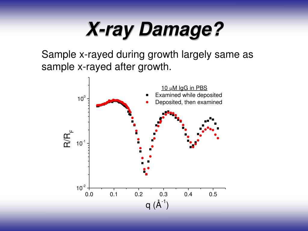 PPT - In Situ X-ray Reflectivity Studies of Protein Adsorption onto ...