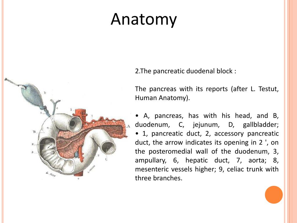 PPT - IMAGING AMPULLOMA OF VATER’S PAPILLE SERIES OF FIFTEEN CASES ...