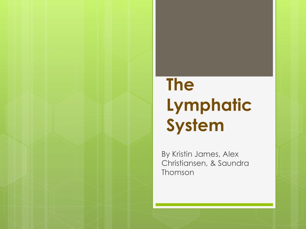 Ppt The Lymphatic System Powerpoint Presentation Free Download Id