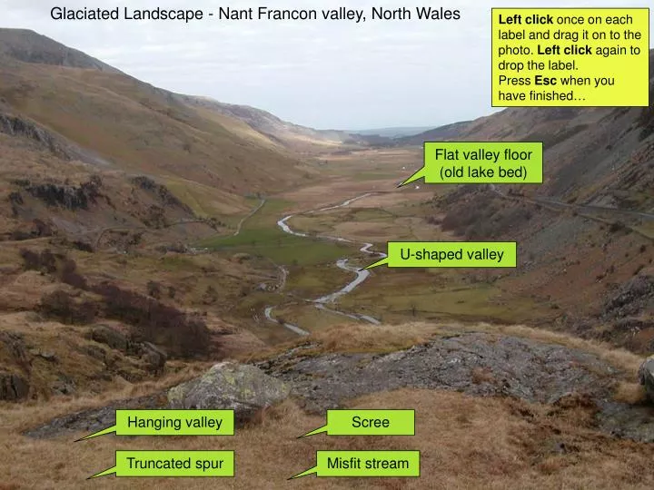 PPT - Scree PowerPoint Presentation, free download - ID:2947741