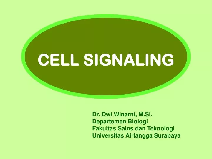 PPT - CELL SIGNALING PowerPoint Presentation, free download - ID:2948272