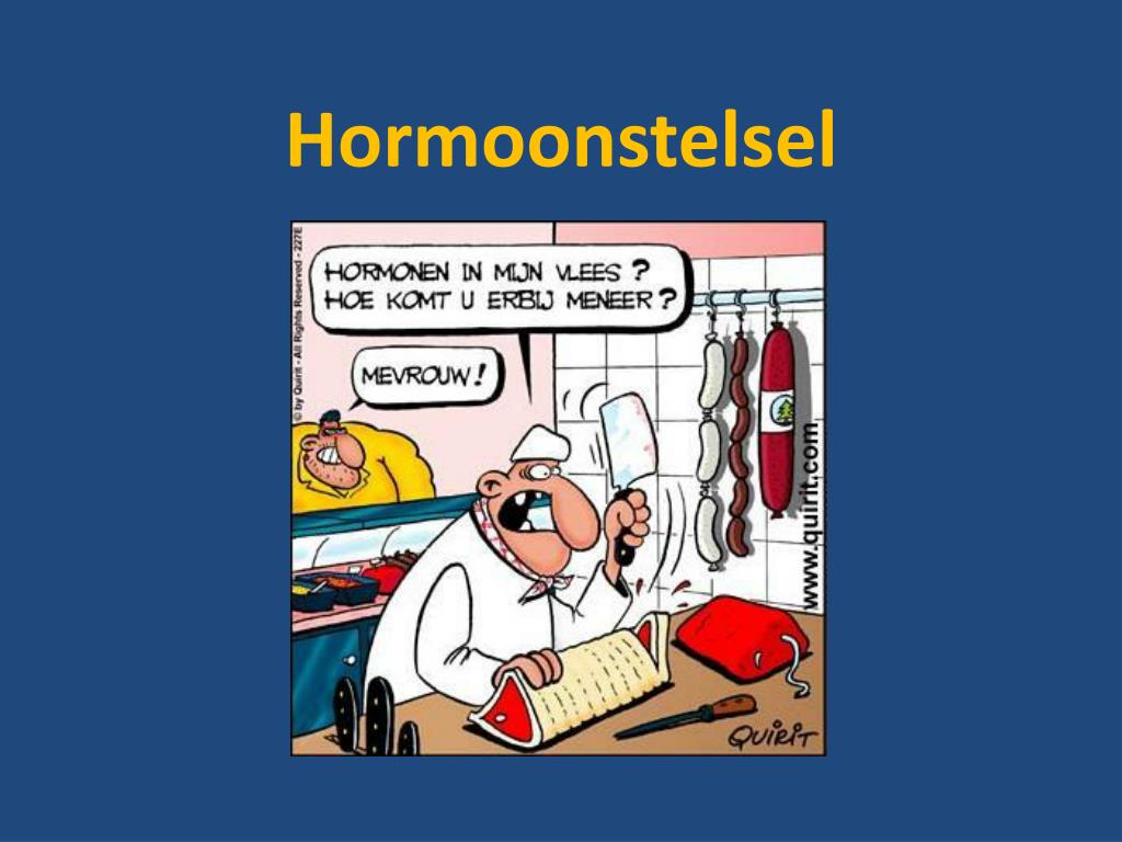 Ppt Hormoonstelsel Powerpoint Presentation Free Download Id 2948290