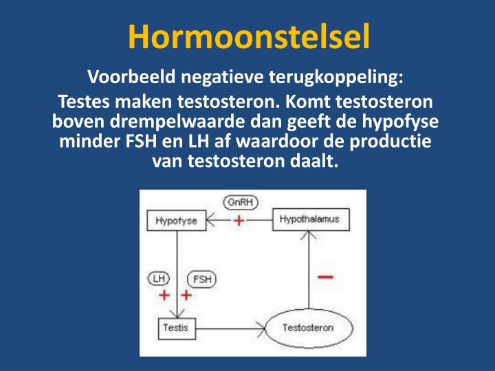 Ppt Hormoonstelsel Powerpoint Presentation Id 2948290