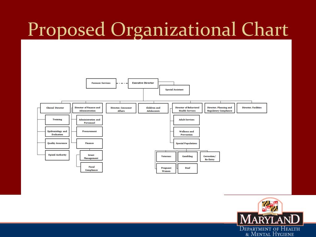 PPT - Department of Health and Mental Hygiene Behavioral Health ...