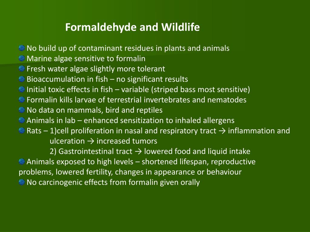PPT - Investigating Hairy Foot Wart Treatments: Risks and Alternatives ...