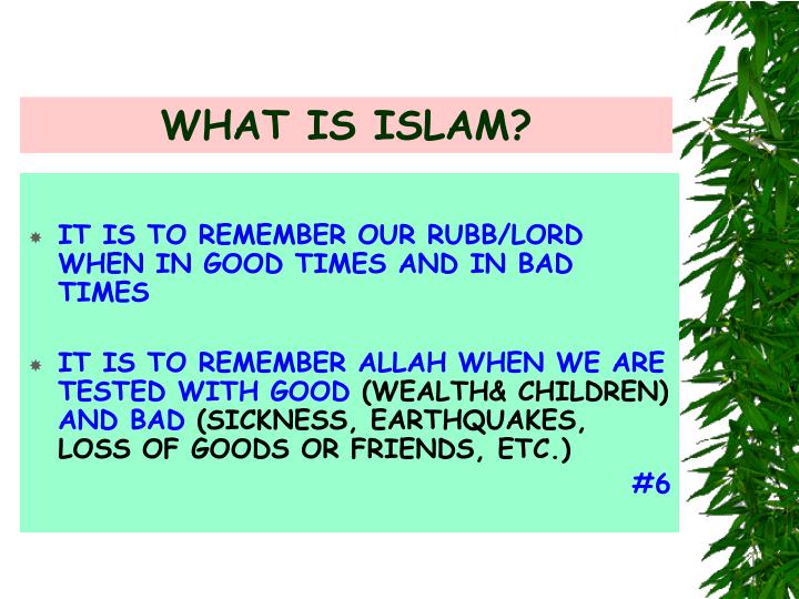 PPT - WHAT IS ISLAM? PowerPoint Presentation - ID:2948932