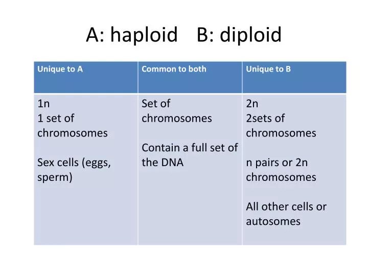 PPT - A: haploid B: diploid PowerPoint Presentation, free download - ID ...