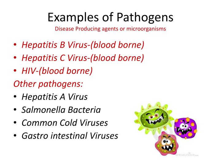 PPT - UNIVERSAL PRECAUTIONS IN THE SCHOOL SETTING PowerPoint ...