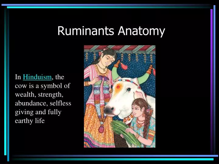 PPT - Ruminants Anatomy PowerPoint Presentation, free download - ID:2951227