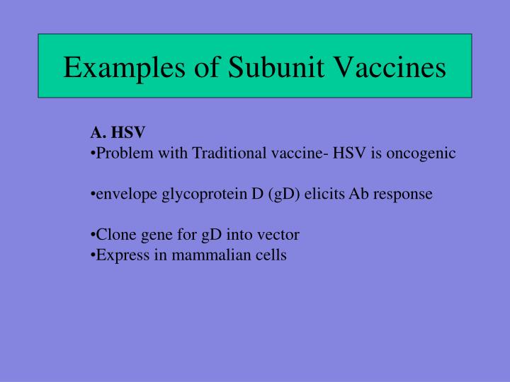 PPT - Fundamentals of Biotechnology PowerPoint Presentation - ID:2951360