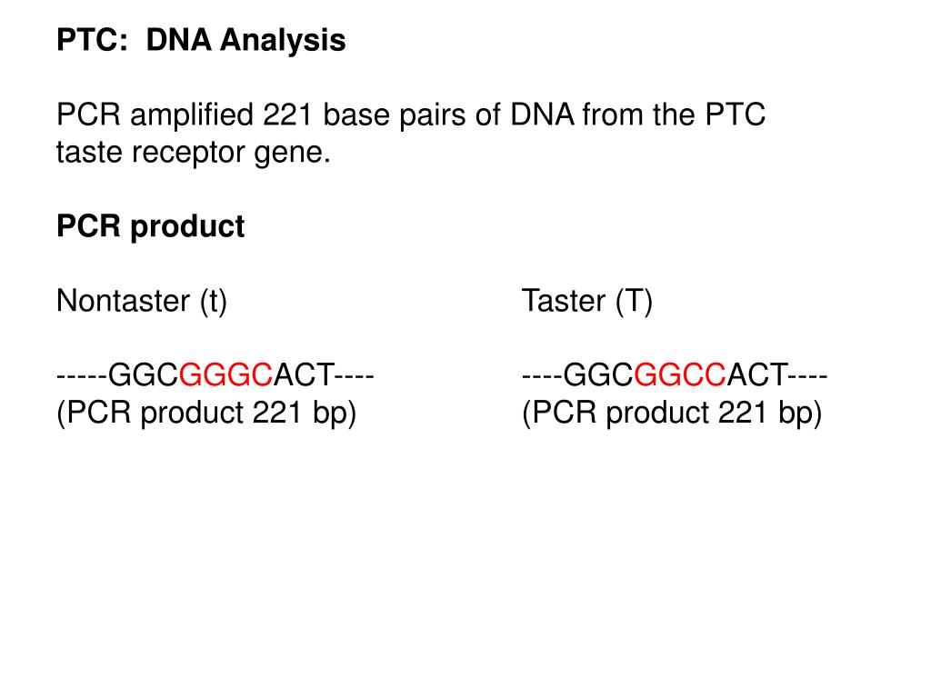 PPT - PTC: DNA Analysis PCR amplified 221 base pairs of DNA from the ...