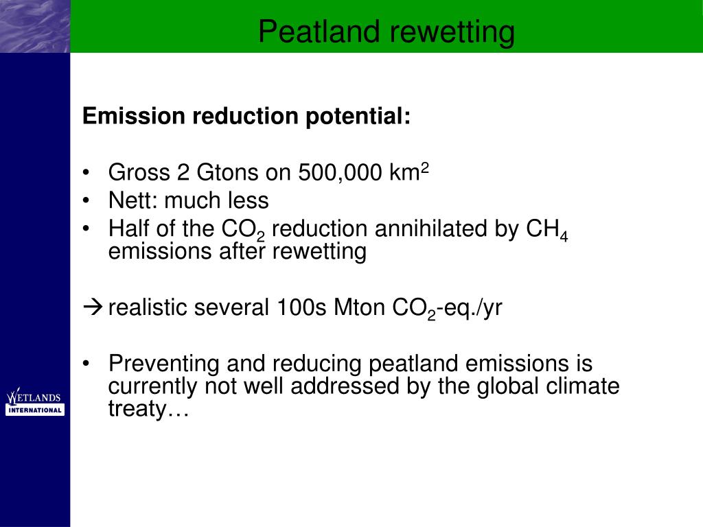 PPT - Challenges and perspectives Wetland Management Susanna Tol ...