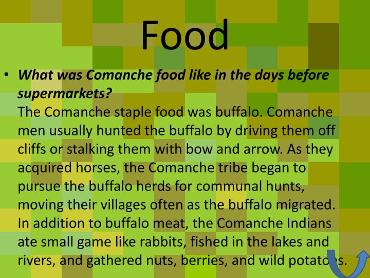 PPT - Comanche PowerPoint Presentation - ID:2952127