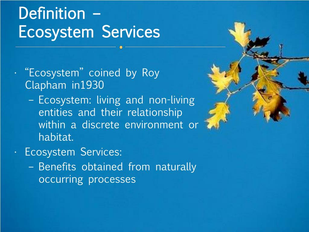 PPT - Breathe: Ecosystem Services Brokerage Proposal PowerPoint ...