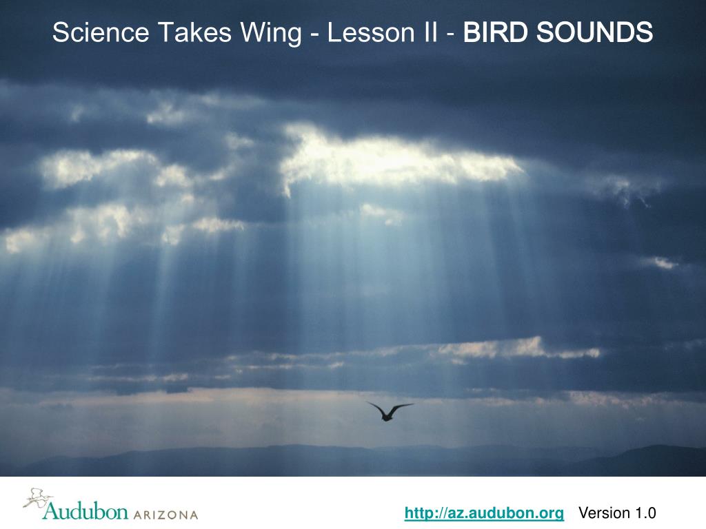 PPT - Science Takes Wing - Lesson II - BIRD SOUNDS PowerPoint ...