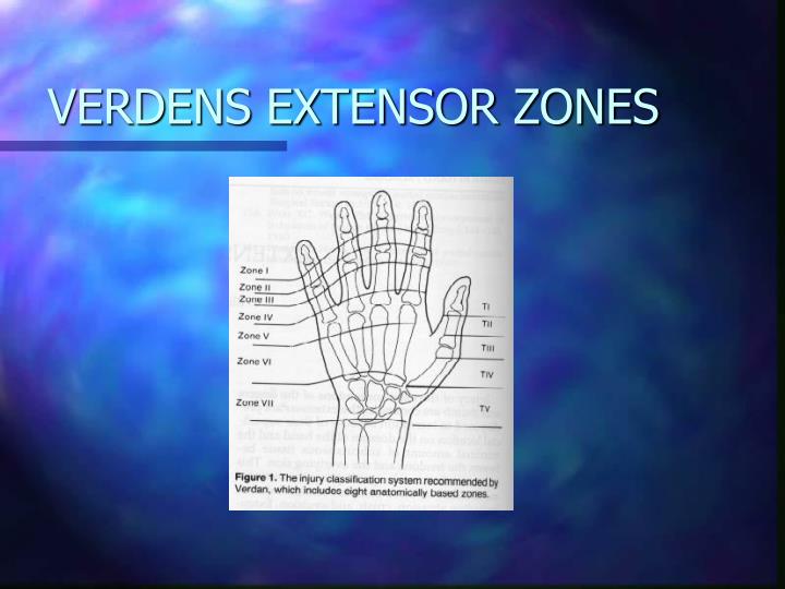 PPT - EXTENSOR TENDON INJURIES PowerPoint Presentation - ID:2952764
