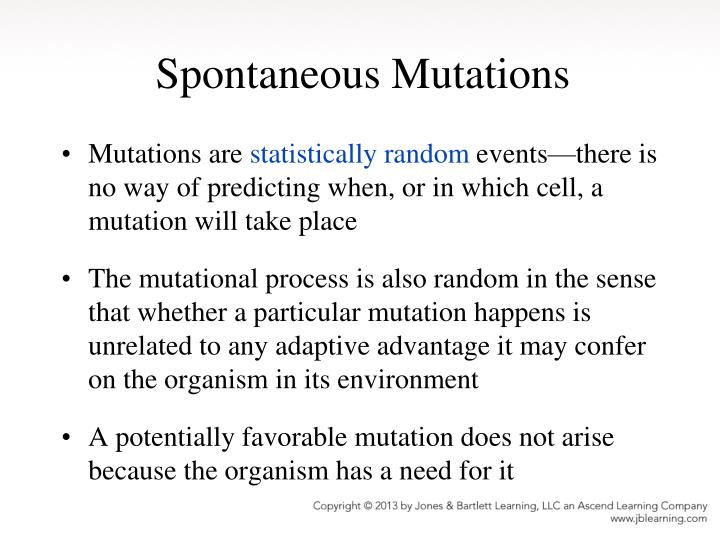 PPT - Chapter 12 Molecular Mechanisms of Mutation and DNA Repair ...
