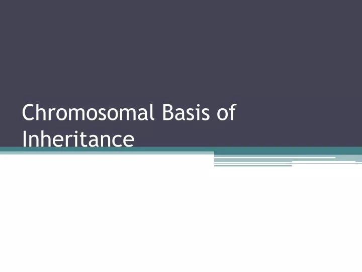 PPT - Chromosomal Basis of Inheritance PowerPoint Presentation, free ...
