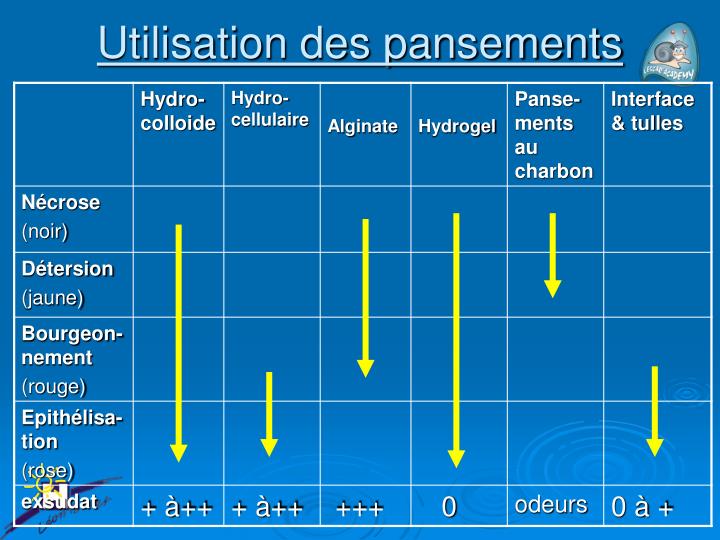 PPT - Classification des Pansements PowerPoint Presentation - ID:2953530