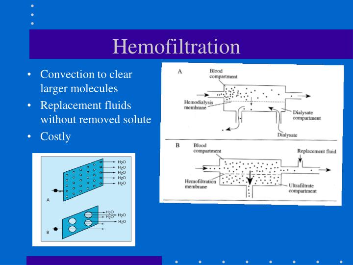 PPT - Separation Technology in Dialysis PowerPoint Presentation - ID ...